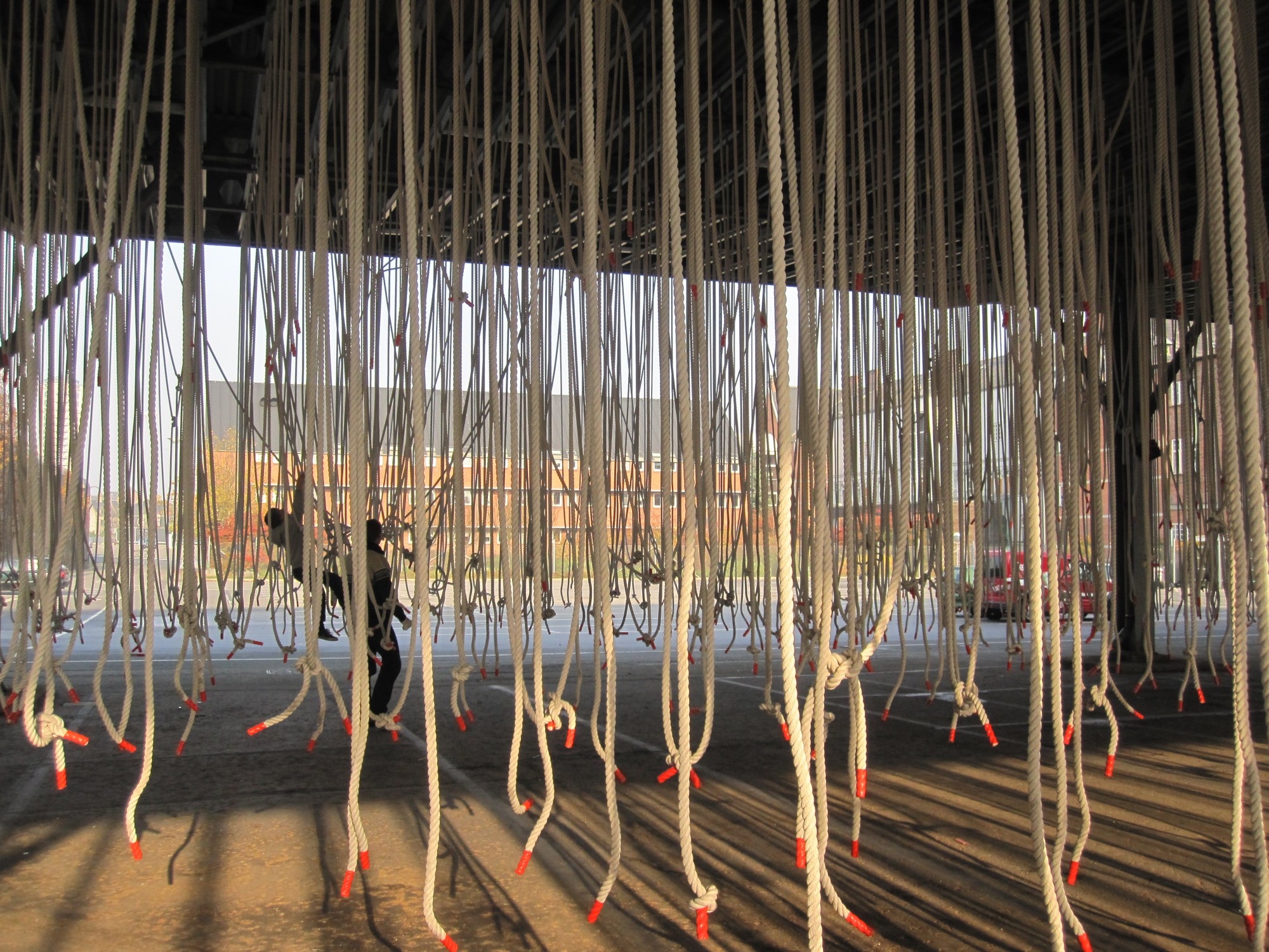 Ropes and more ropes | Grit in education